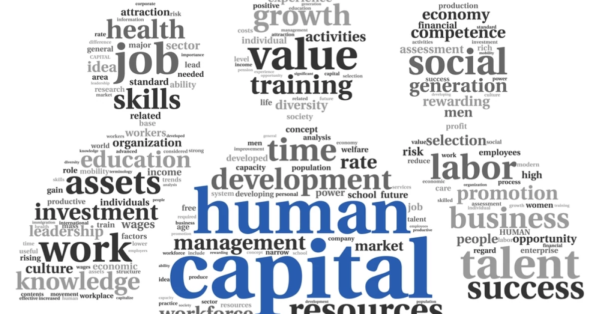 Human capital theory - The value and importance of people to ...